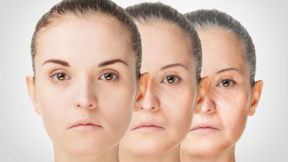 Primary and Secondary Aging – How They Affect You