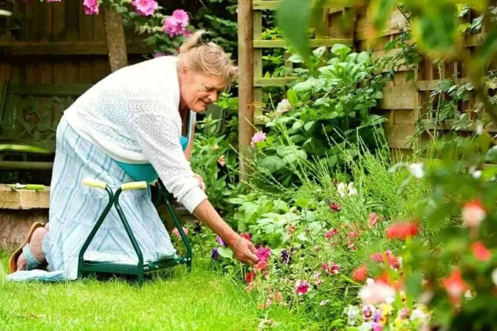 5 Great Garden Seats for Easier Gardening