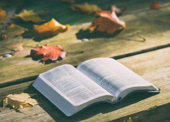 9 Bible Verses About Aging and Elders