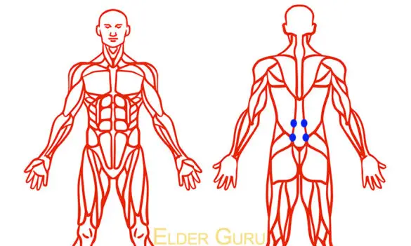 Where to Place TENS Unit Pads (Photos)