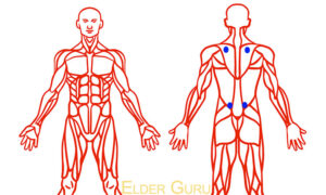 Where to Place TENS Unit Pads (Photos)